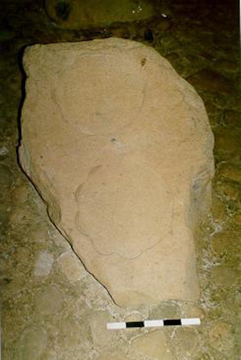 Kerajaan Tarumanagara, Jejak Kebudayaan Nusantara (Bagian 2) | Agenda ...