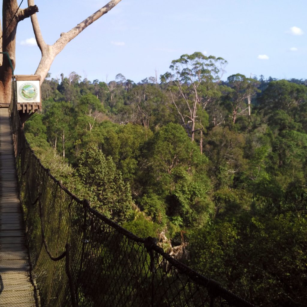 Canting Batik, Ini 5 Jenis dan Fungsinya | Agenda Indonesia