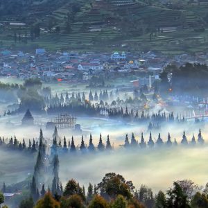 Lalapan Sunda, 7 Daun Yang Tak Biasa | Agenda Indonesia