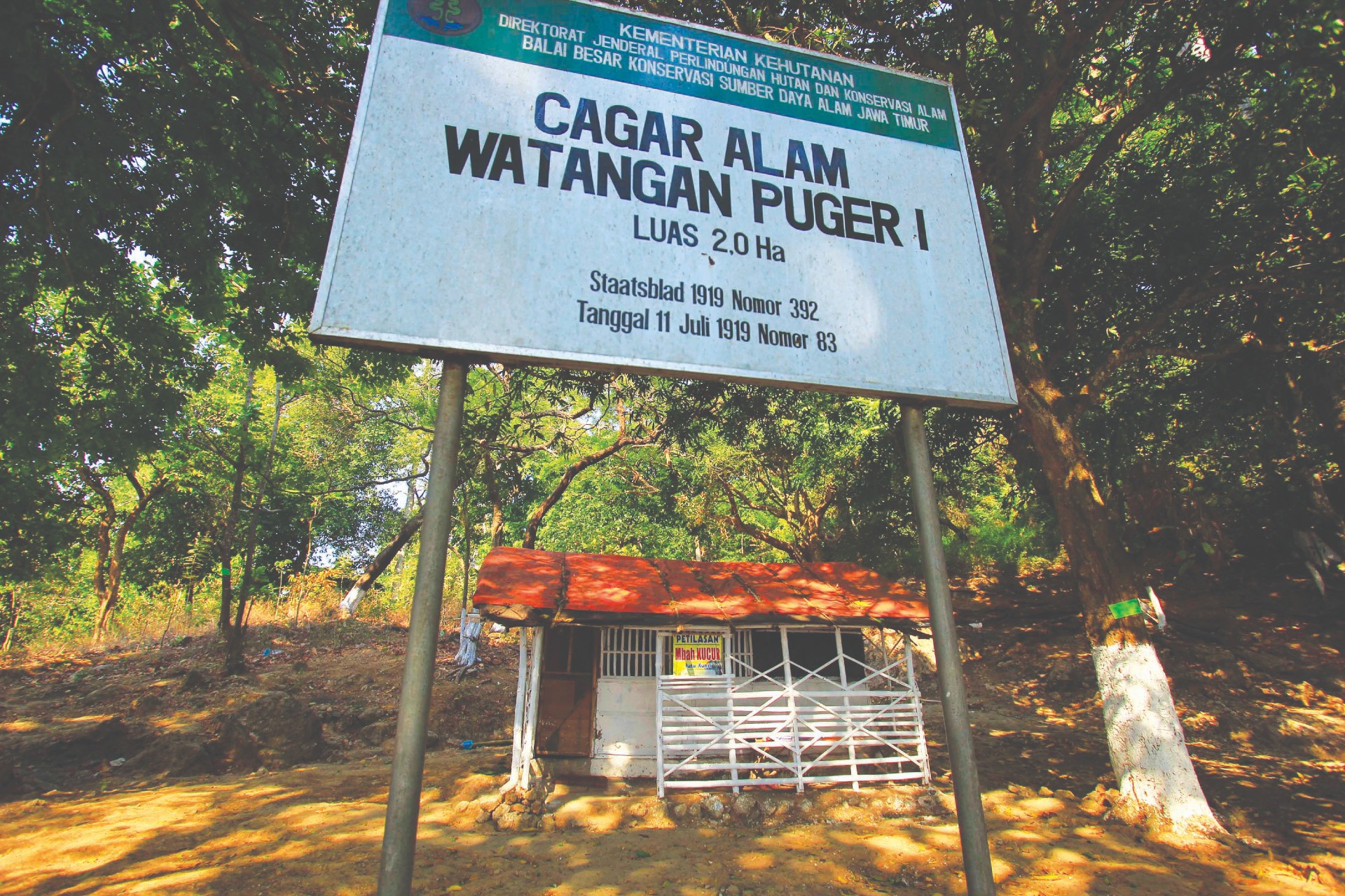 3 Pantai Di Jember Dengan Aura Mistis | Agenda Indonesia