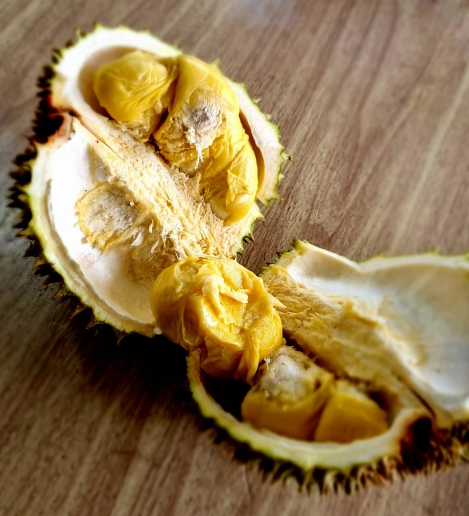 Lempok Pontianak, 100 Persen Durian Asli | Agenda Indonesia