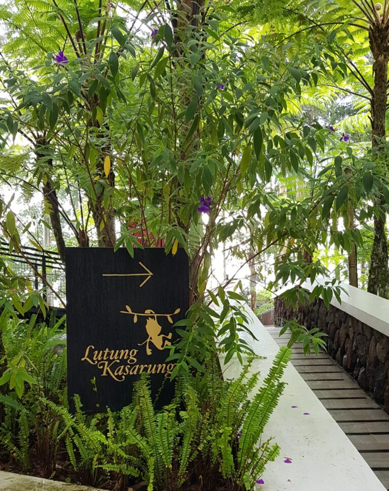 Dusun Bambu Lembang, Ecopark Di 2050 MDPL | Agenda Indonesia