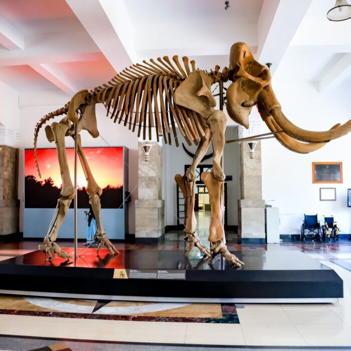 Museum Geologi Bandung, Unik Sejak 1929 | Agenda Indonesia