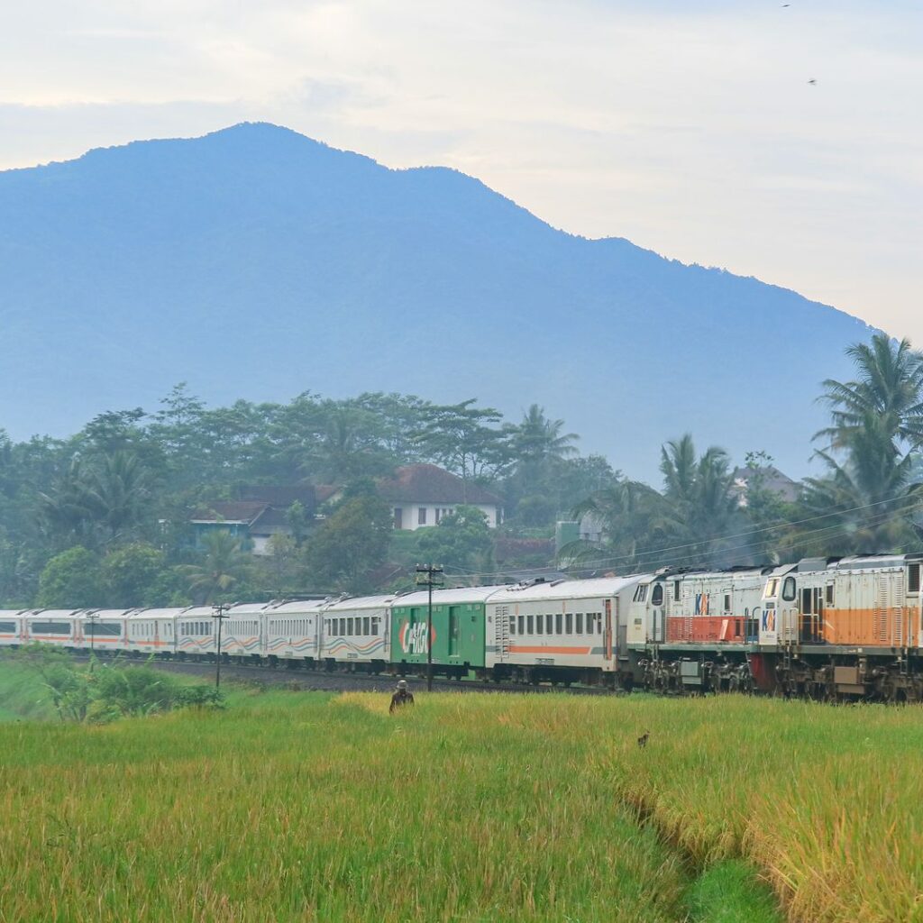 Pusat Oleh-oleh Kampoeng Semarang: One Stop Shopping & Leisure | Agenda ... Pusat Oleh-oleh Kampoeng Semarang: One Stop Shopping & Leisure | Agenda ...