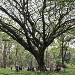 Canting Batik, Ini 5 Jenis dan Fungsinya | Agenda Indonesia