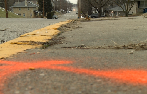 The Ben Renick case: snakes, shootings and millions of dollars - ABC17NEWS