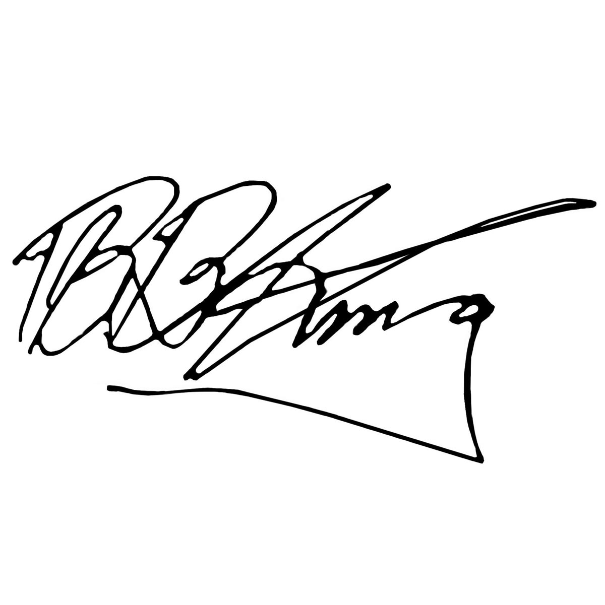 BB King Signature Headstock Waterslide Decal for guitar