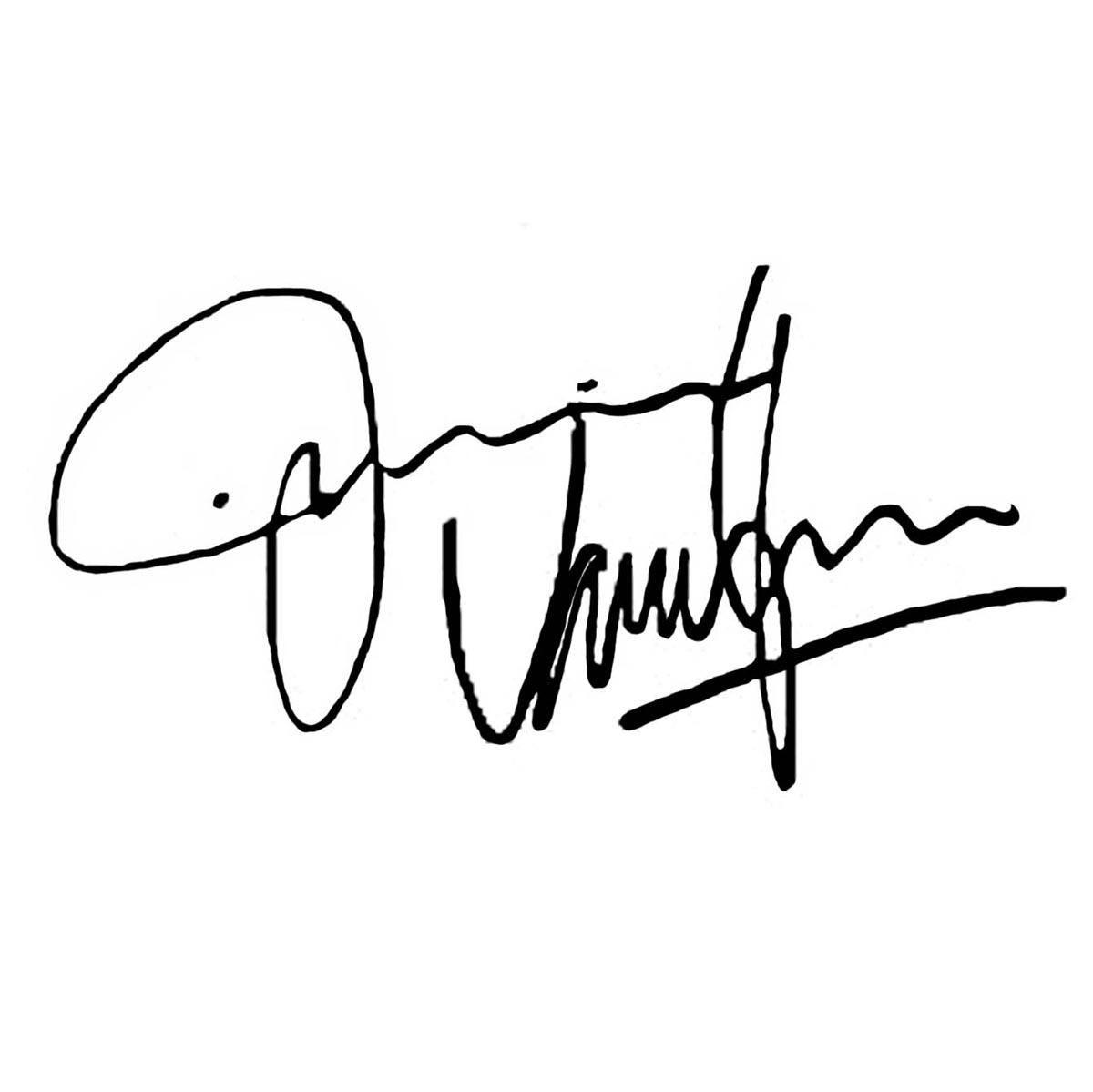 Jimmie Vaughan Signature Headstock Waterslide Decal