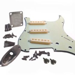 Stratocaster Relic Hardware Kit - Aged Guitar Parts #1