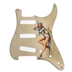 Stratocaster Guards