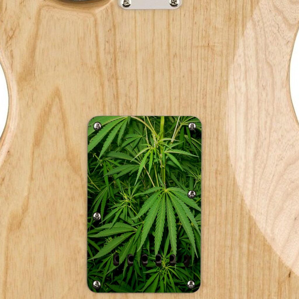Stratocaster Weed Pot Backplate / Tremolo Cover