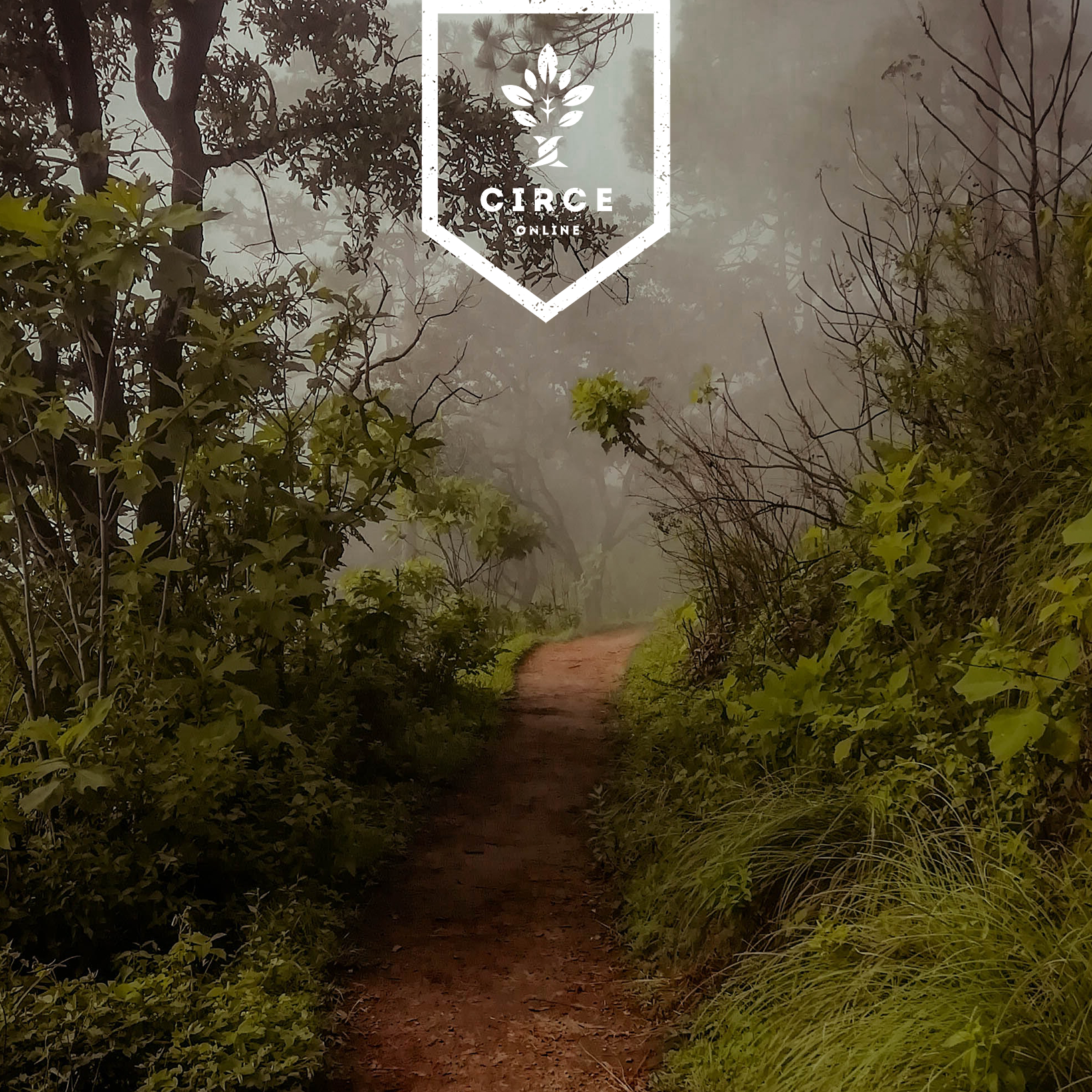 For the Love of Place: Natural History through Story, Poem, and Art ...