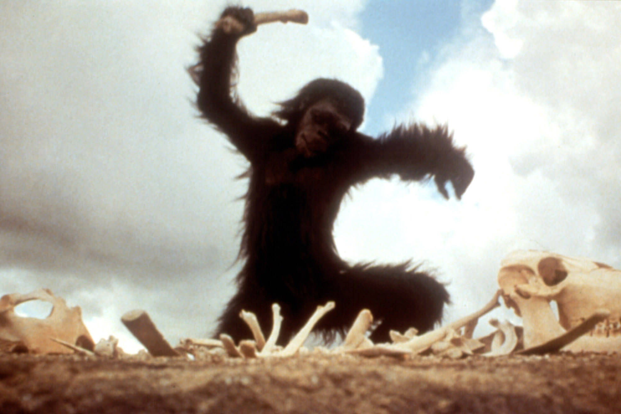 Do Not Allow Virtual Learning To Steal Our Snow Days