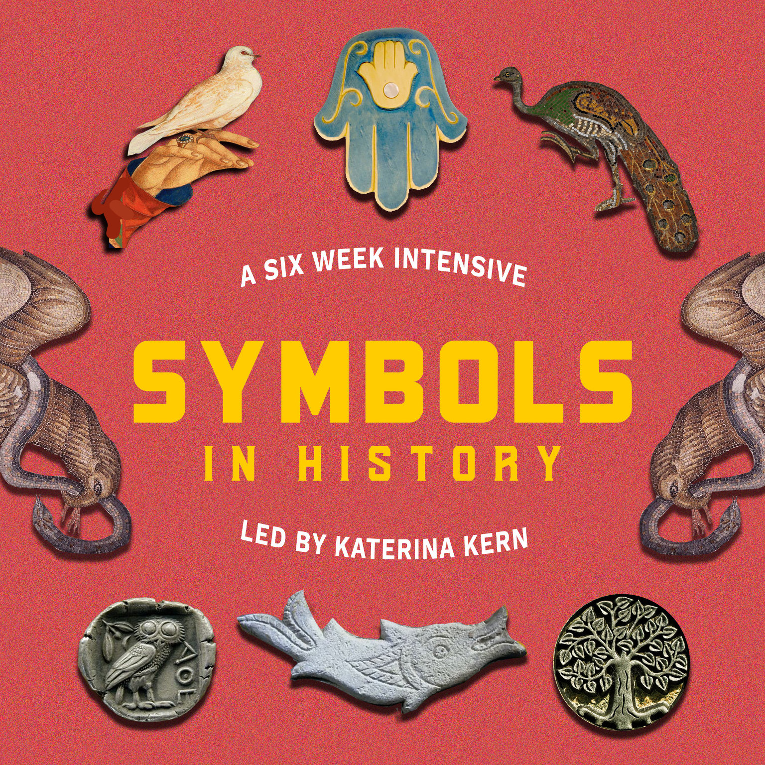 Webinars and Intensives | CiRCE Institute