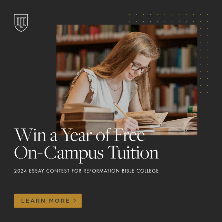 Boredom Busters | CiRCE Institute