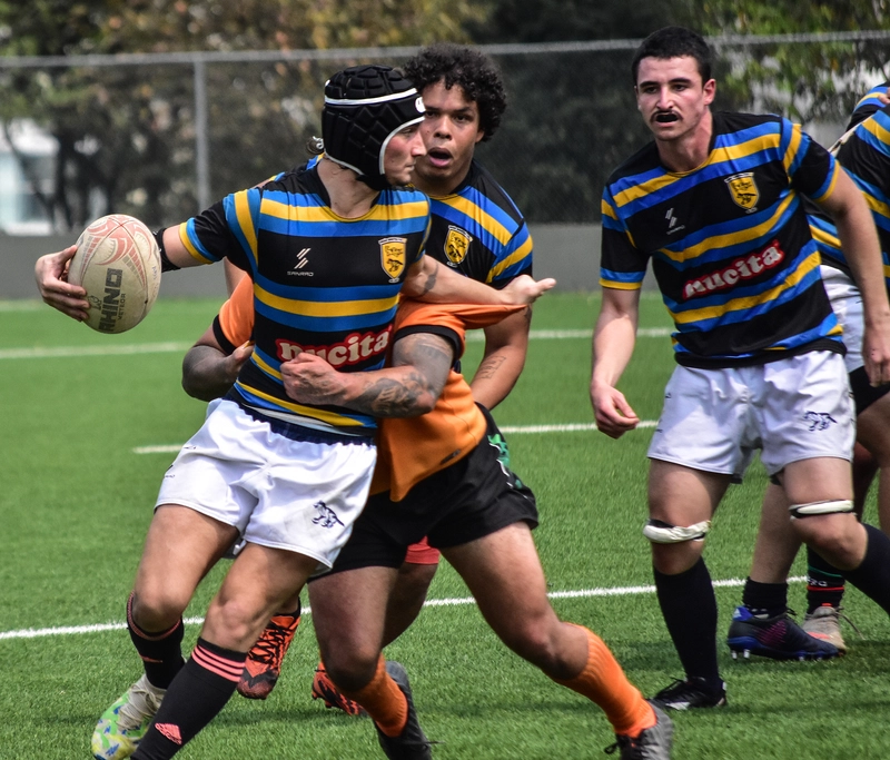NDU XV: UNIP x PUC/FGV