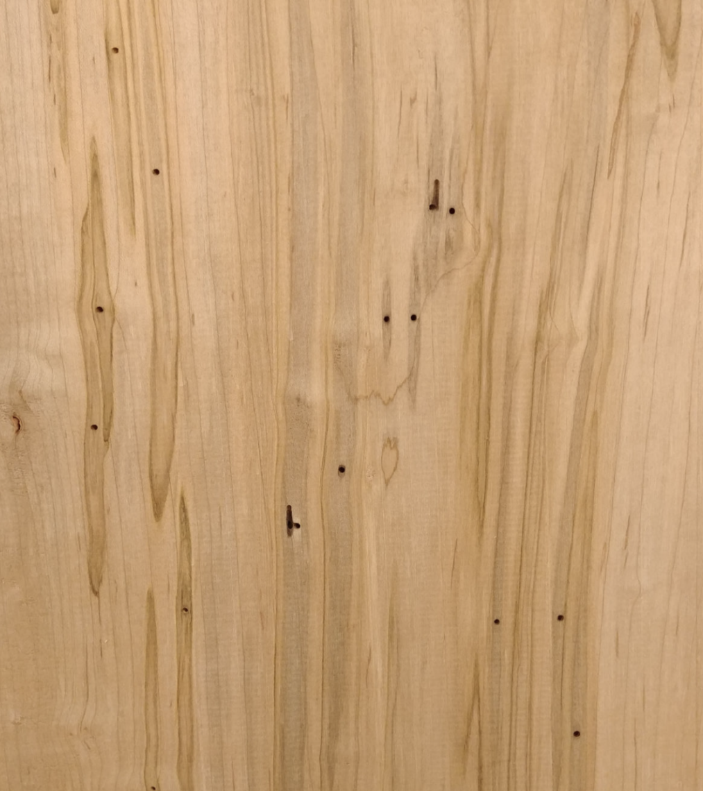 Wormy Soft Maple - Steel & Timber Supply Co.