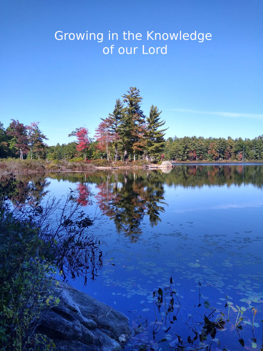 Growing in the Knowledge of our Lord – The Gospel Herald