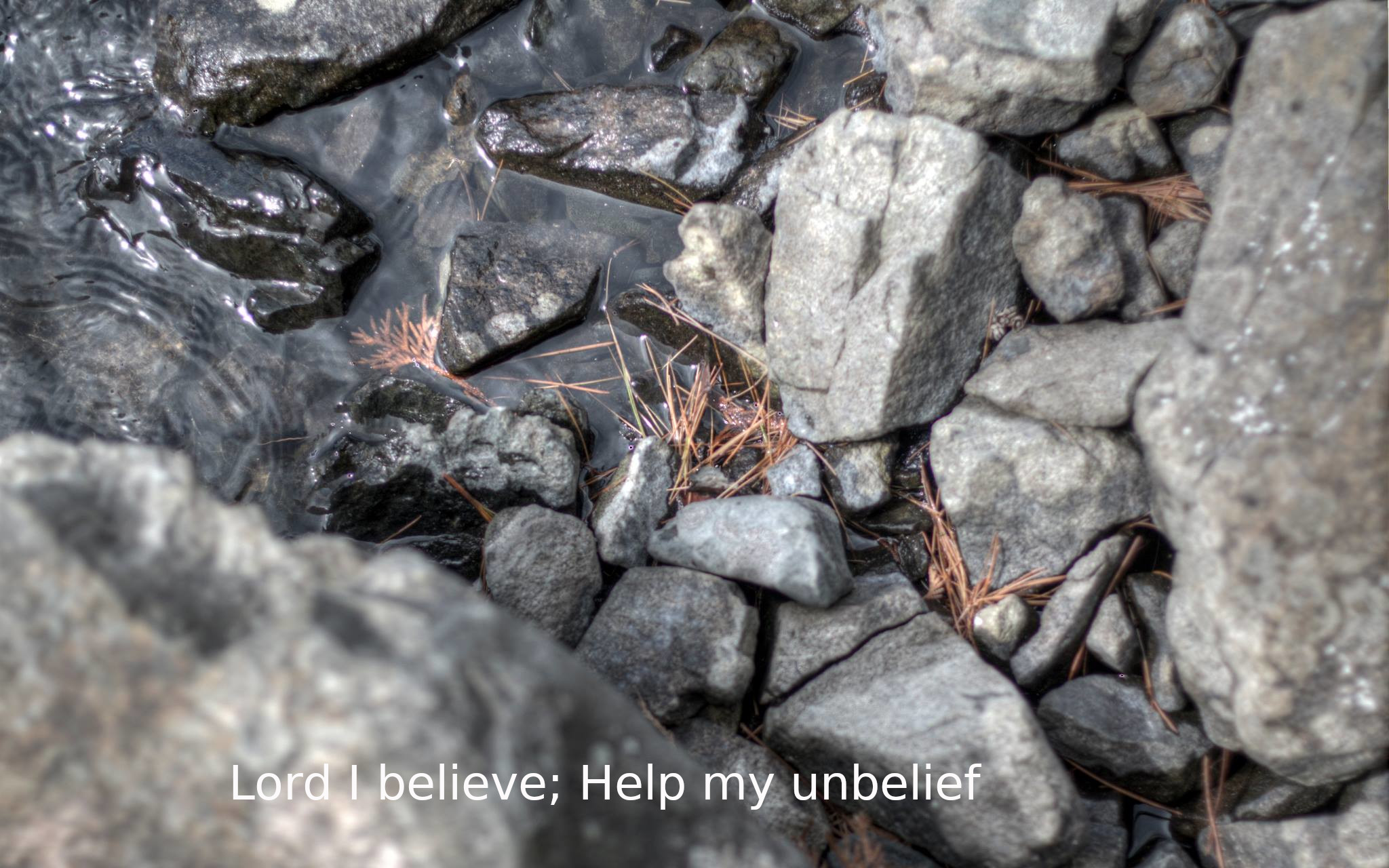 Abraham Believed God – The Gospel Herald