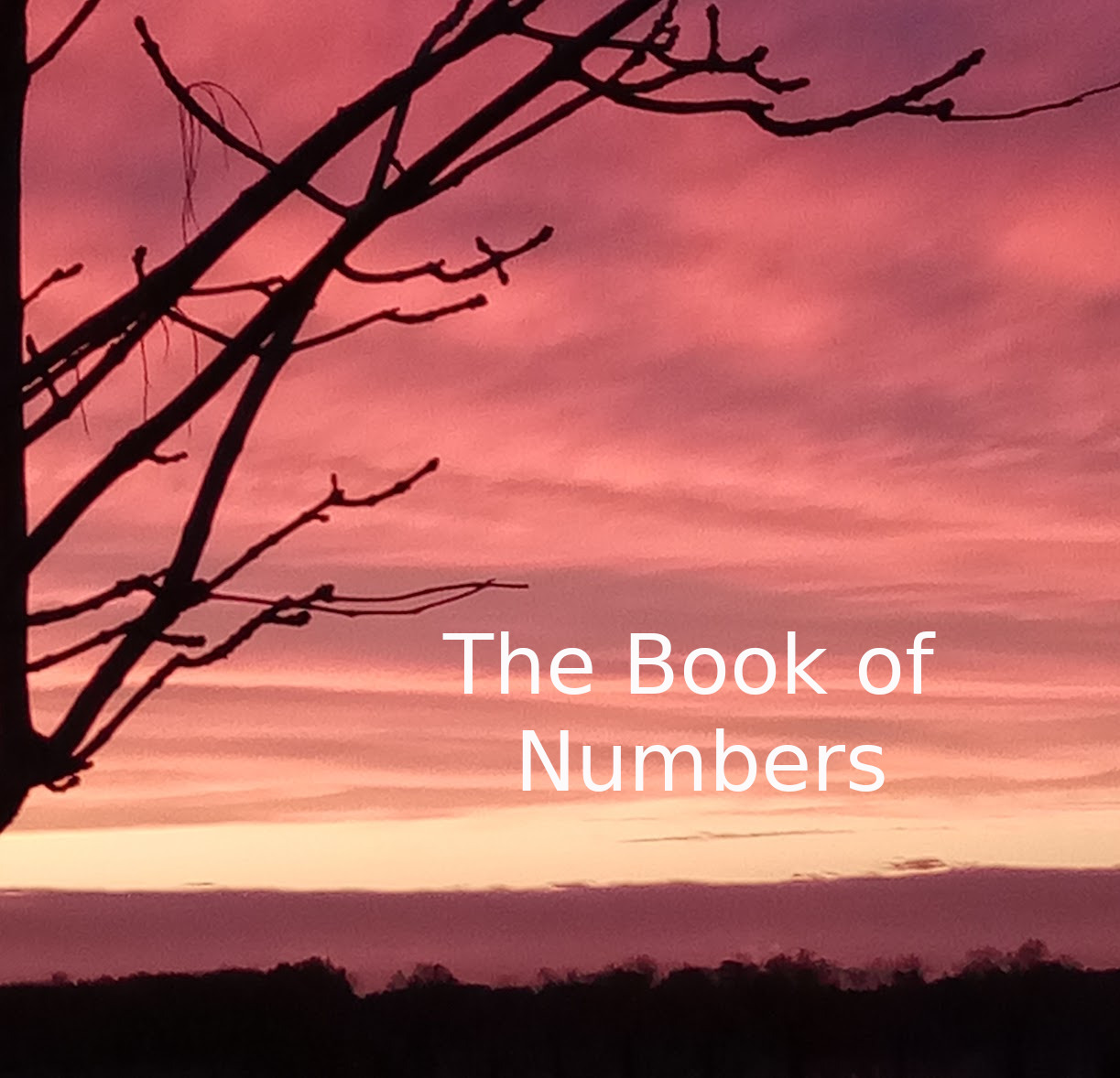 Numbers: Organisation and Leadership – The Gospel Herald