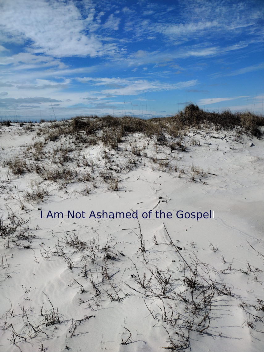 “I Am Not Ashamed of the Gospel” Part 1 – The Gospel Herald