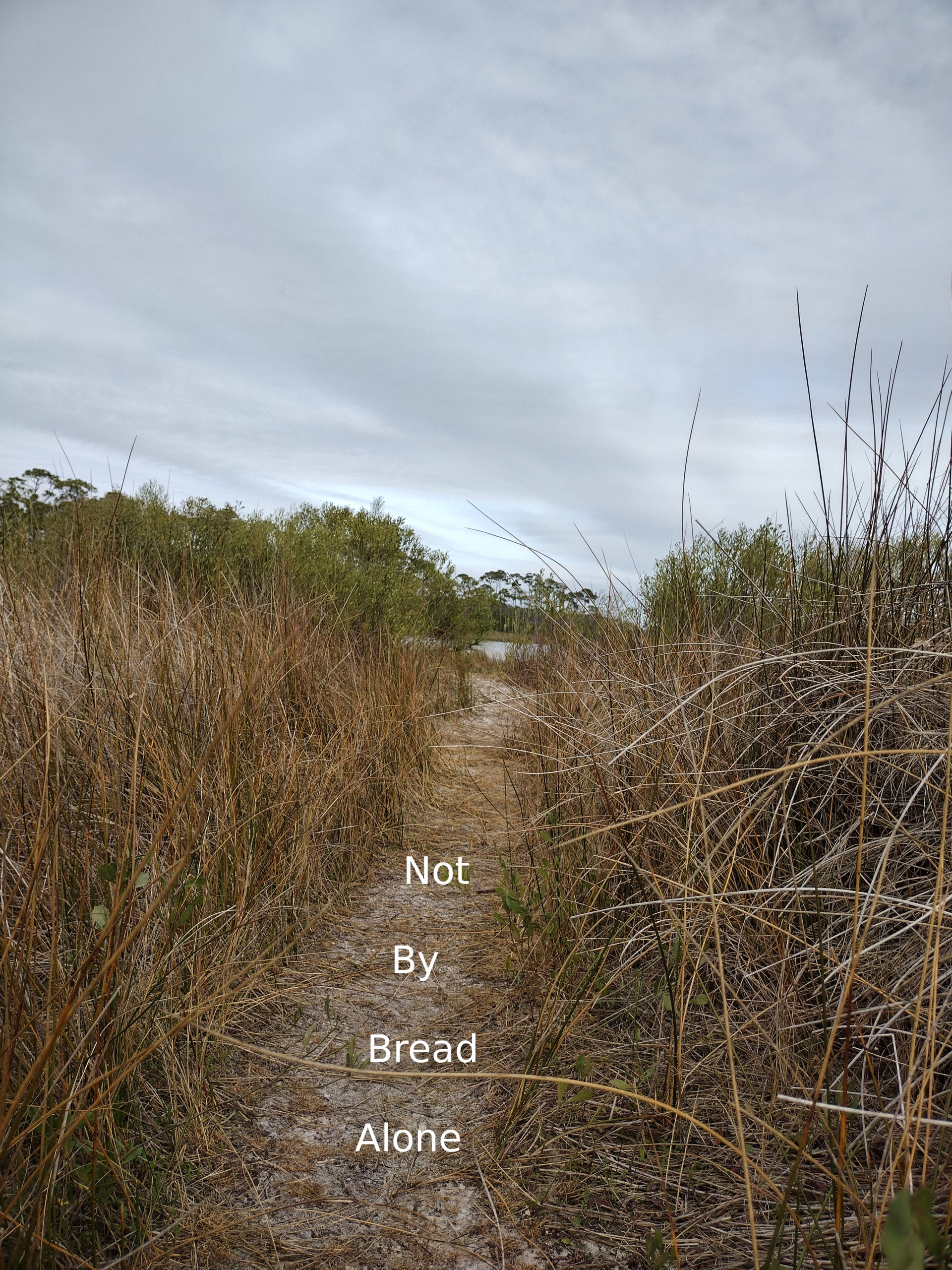 The Gospel Herald – For the Promotion of New Testament Christianity