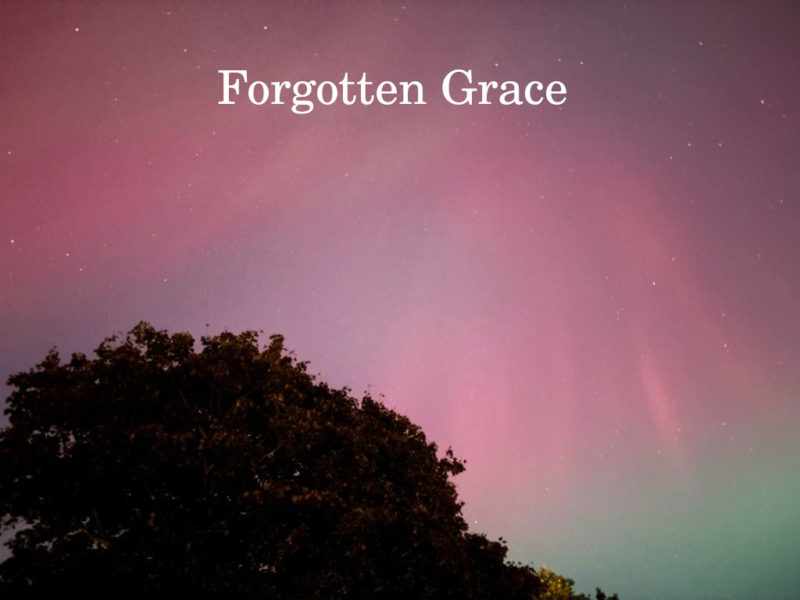 Forgotten Grace – The Gospel Herald
