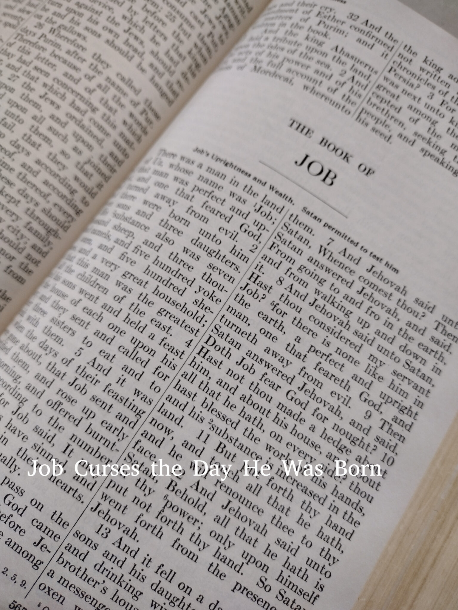 Job Curses the Day He Was Born – The Gospel Herald