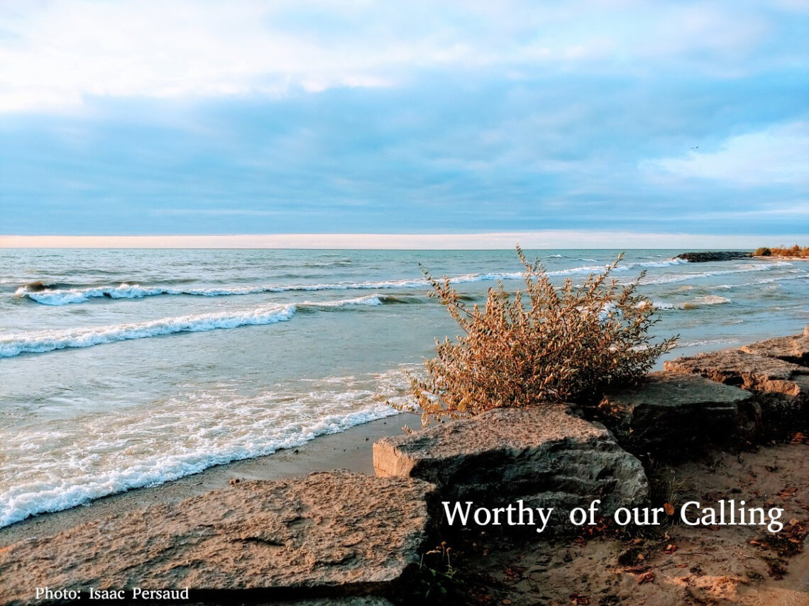 What Is Our Calling? – The Gospel Herald