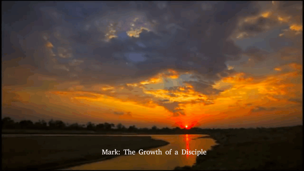 Mark: The Growth of a Disciple – The Gospel Herald