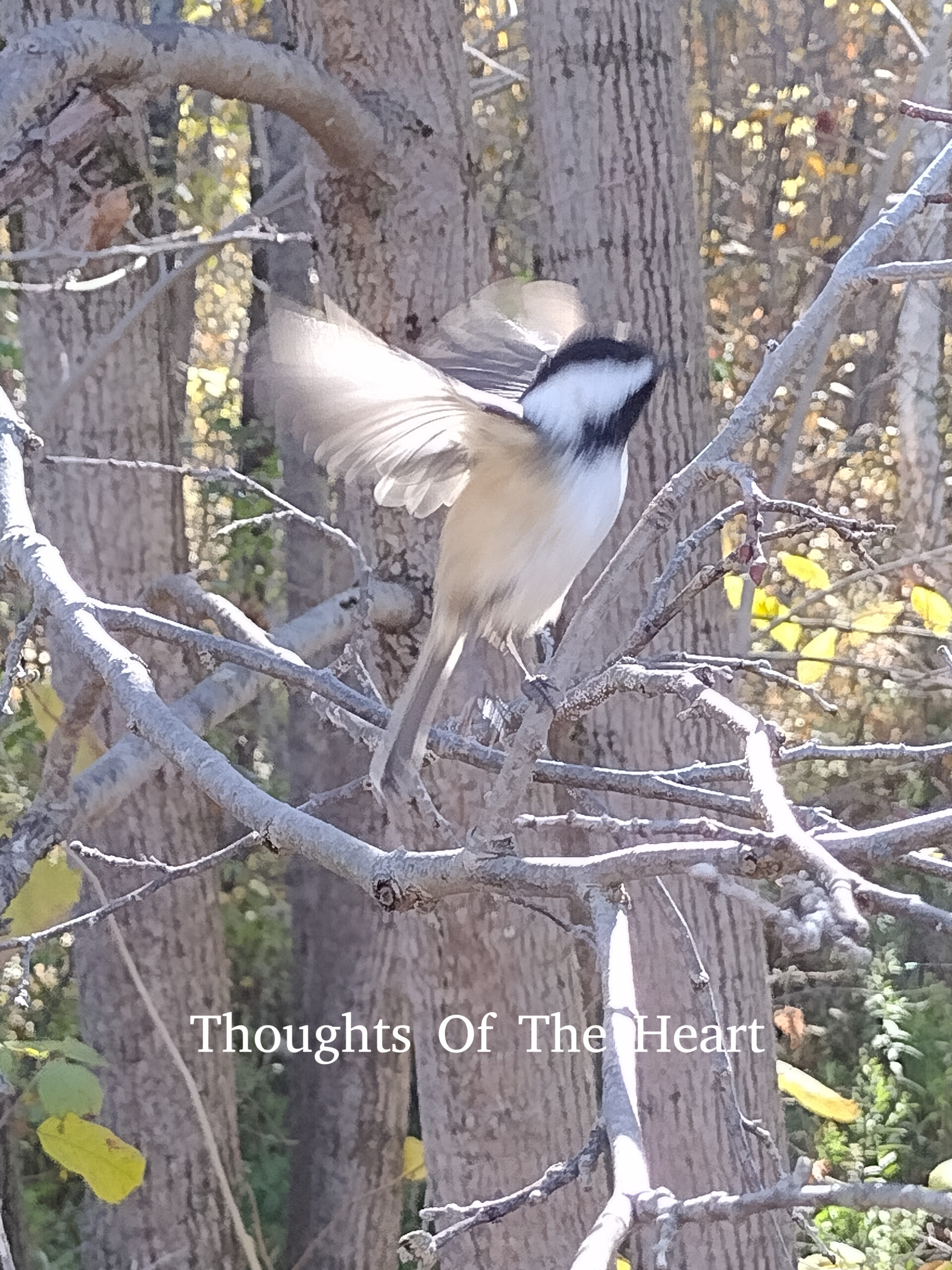 What’s the difference? – The Gospel Herald