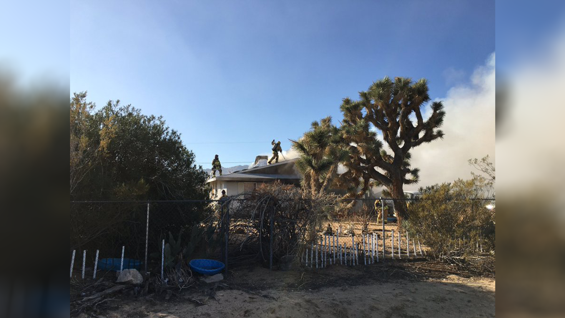 Fire crews knock down Joshua Tree blaze, burn victim flown to hospital ...