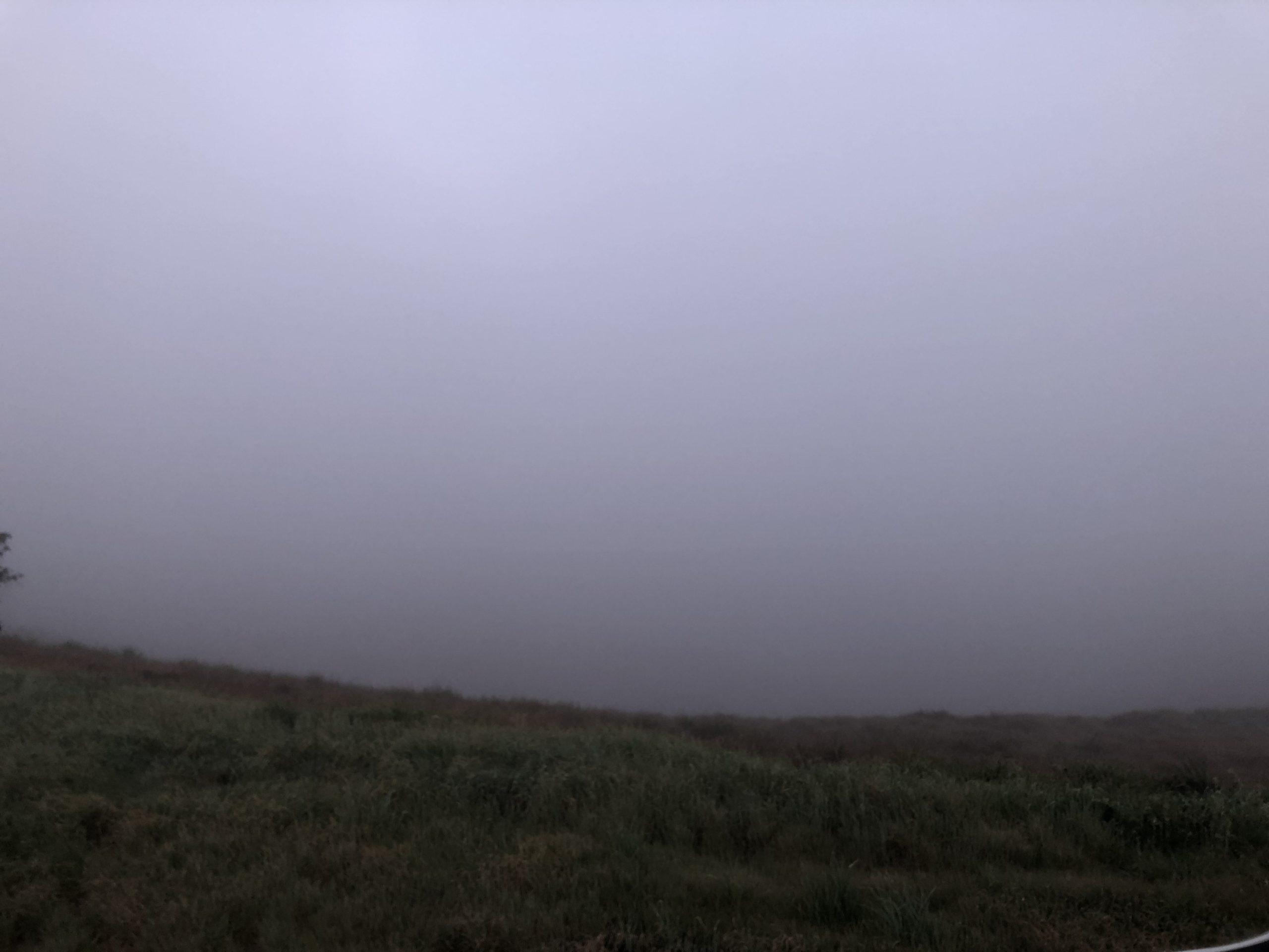 Dense fog impacting morning commute in several local communities - KEYT ...