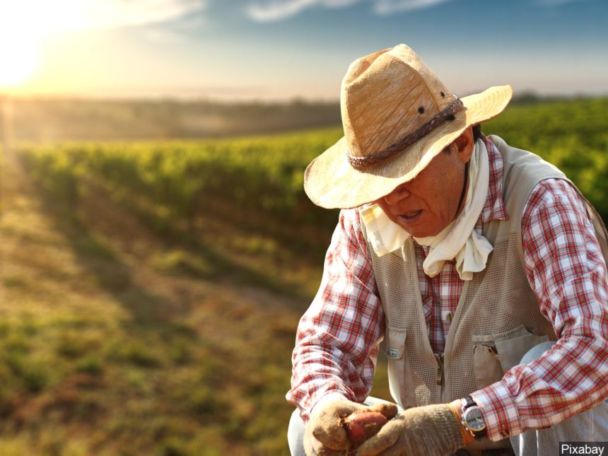 House passes bill providing citizenship path to immigrant farm workers ...