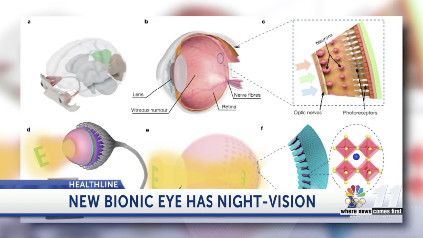 Bionic eye in development could offer night-vision - KYMA