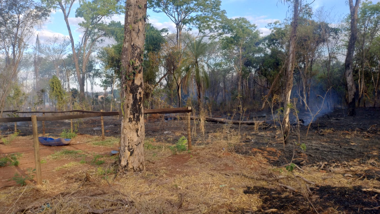 Alerta severo para riscos de incêndios florestais e queimadas