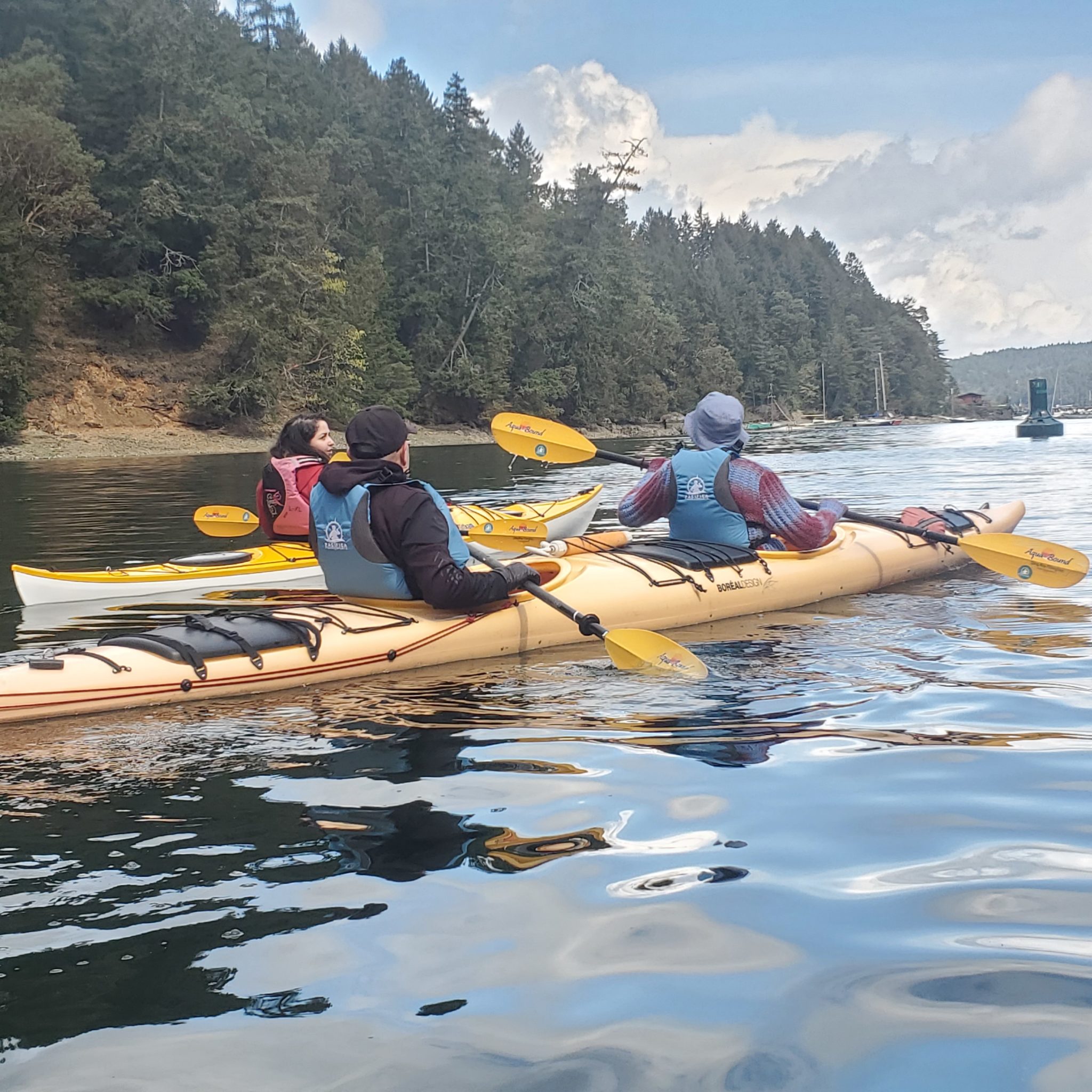 Eddy-Flex - Salus Marine