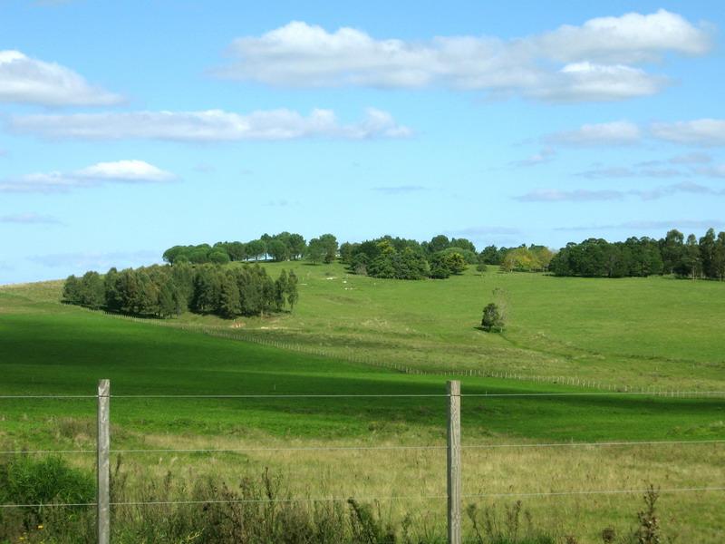 Prime Farmland Jose Ignacio Unique 100 Ha • Terramar Farmlands