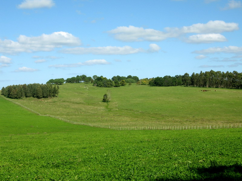 Prime Farmland Jose Ignacio Unique 100 Ha • Terramar Farmlands