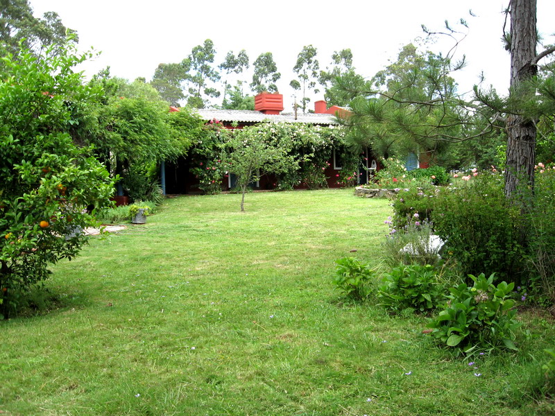Prime Farmland Jose Ignacio Unique 100 Ha • Terramar Farmlands