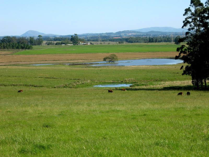 Prime Farmland Jose Ignacio Unique 100 Ha • Terramar Farmlands