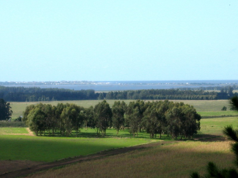Prime Farmland Jose Ignacio Unique 100 Ha • Terramar Farmlands