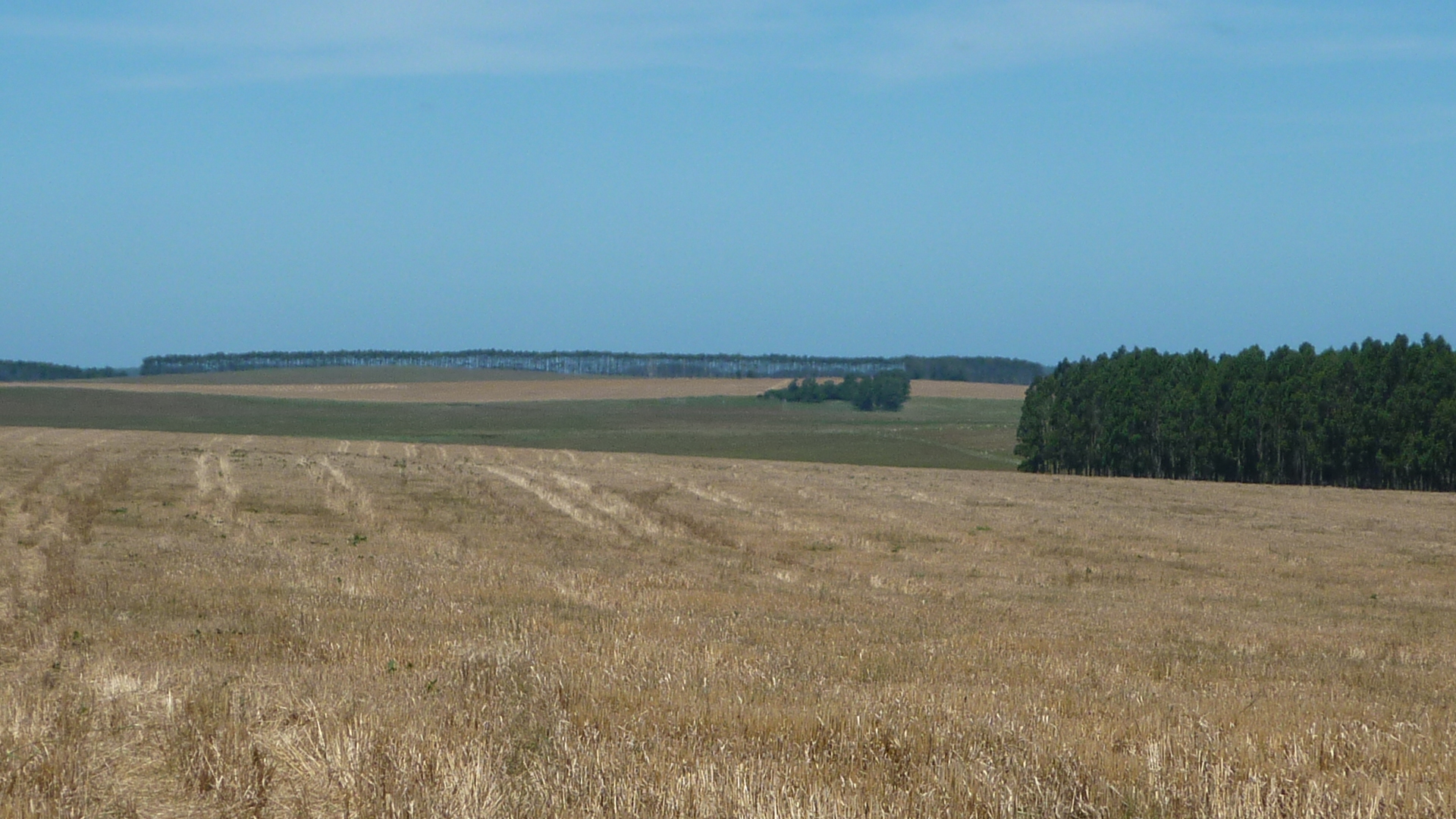 Beautiful 142 Hectares Farm 7 Km From The Ocean At Rocha