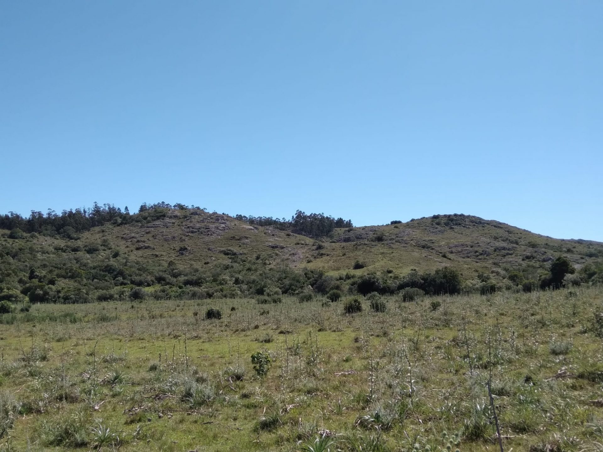 Amazing 312 Hectares Farm In Aigua Hills Maldonado