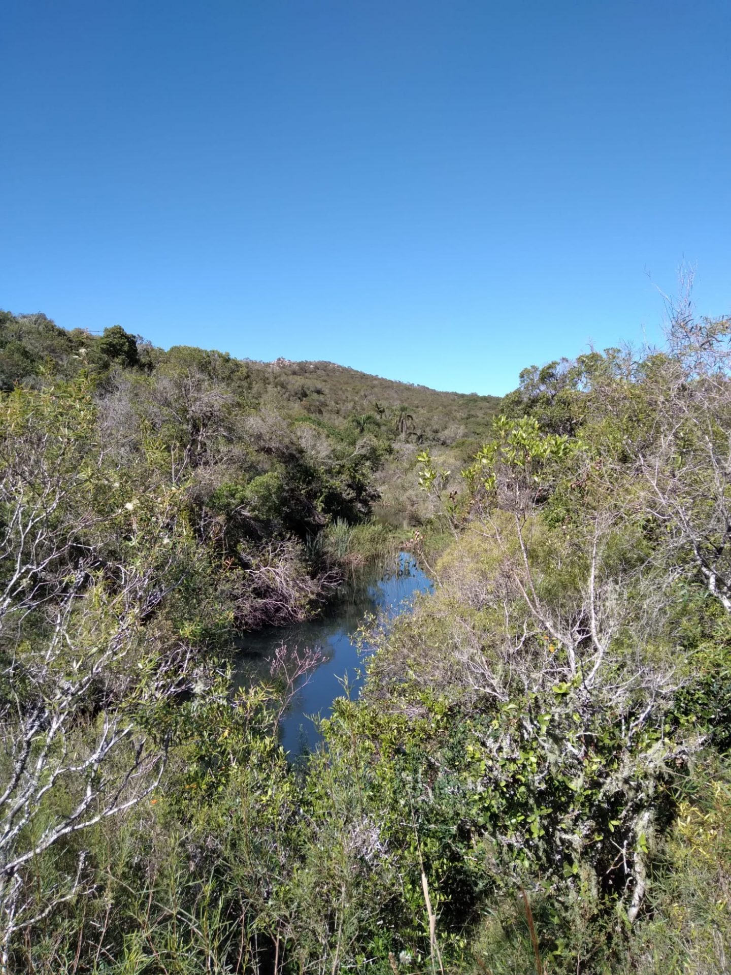 Amazing 312 Hectares Farm In Aigua Hills Maldonado