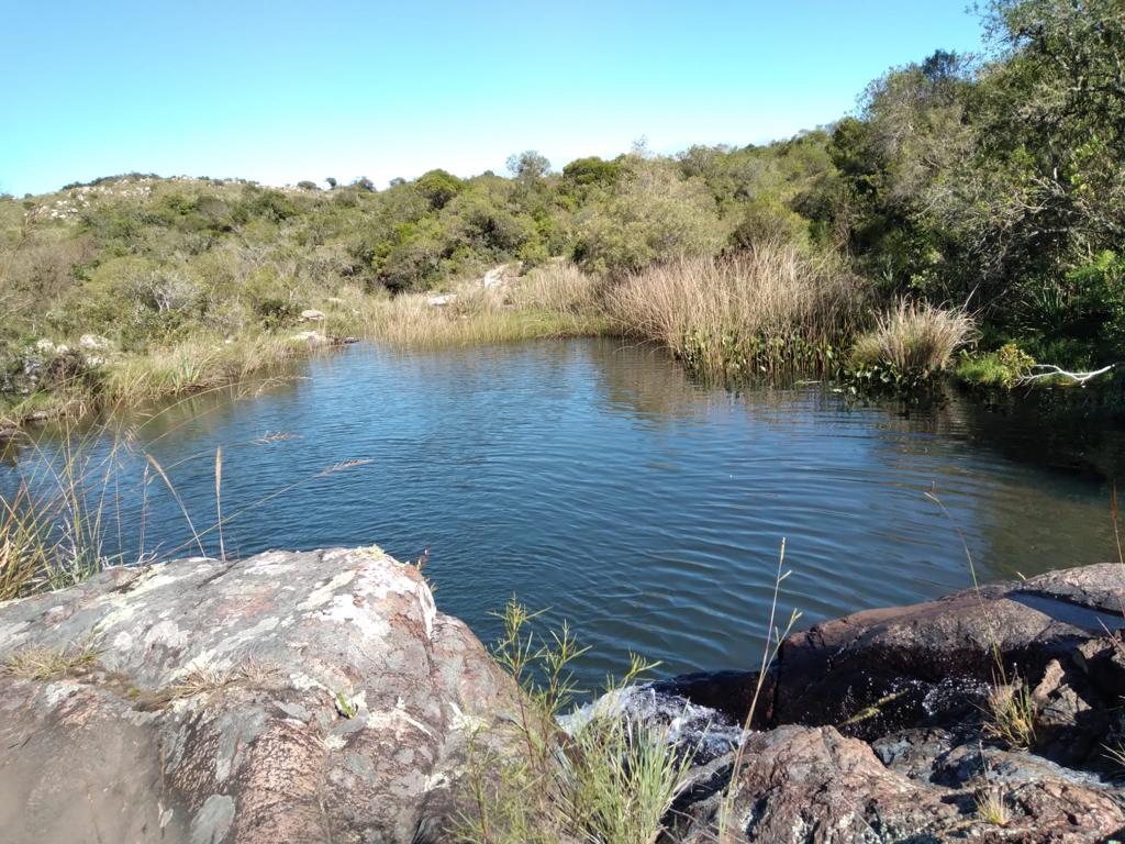 Amazing 312 Hectares Farm In Aigua Hills Maldonado