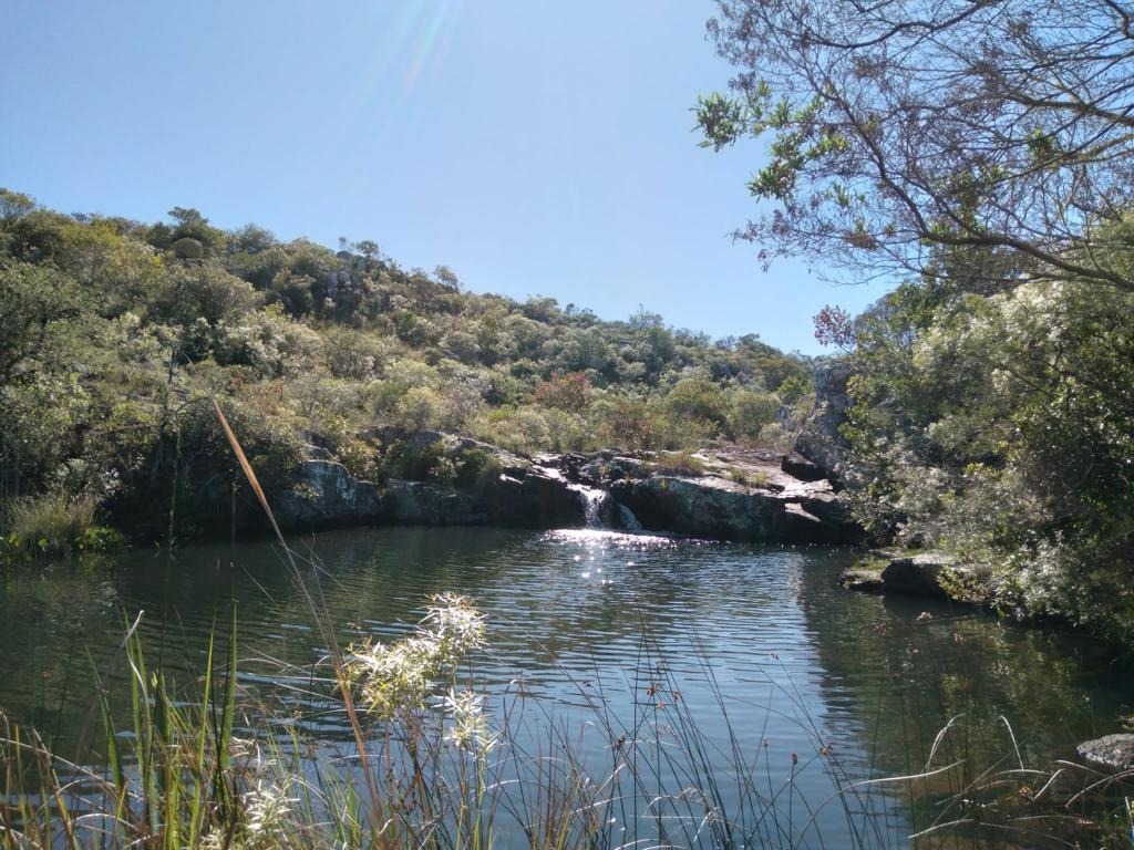 Amazing 312 Hectares Farm In Aigua Hills Maldonado