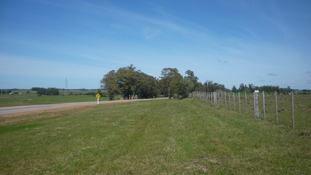 Outstanding 125 Hectares Farm Minutes From Jose Ignacio