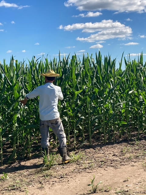 Unique Investment Opportunity In Paraguay: 2508 Hectares Prime Cropping ...