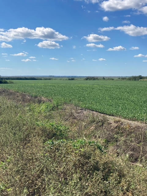 Unique Investment Opportunity In Paraguay: 2508 Hectares Prime Cropping ...